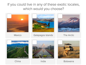 50 General Personality Quiz Questions You Should be Asking | Interact Blog