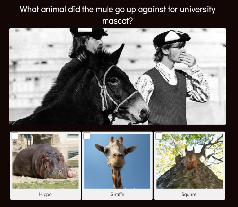 The Complete Guide to Creating College Quizzes | Interact Blog