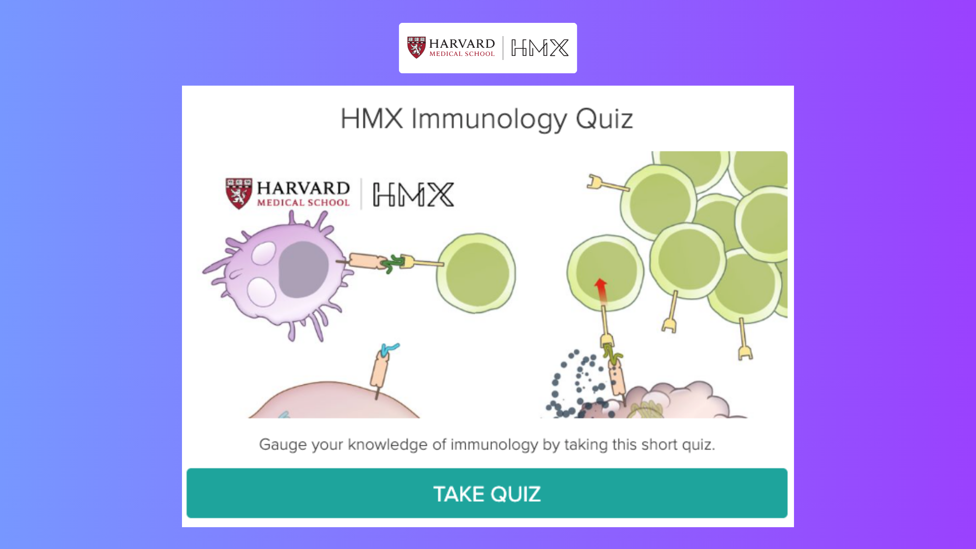 Top 8 Trivia Quiz Examples for Audience Engagement + Memorability ...