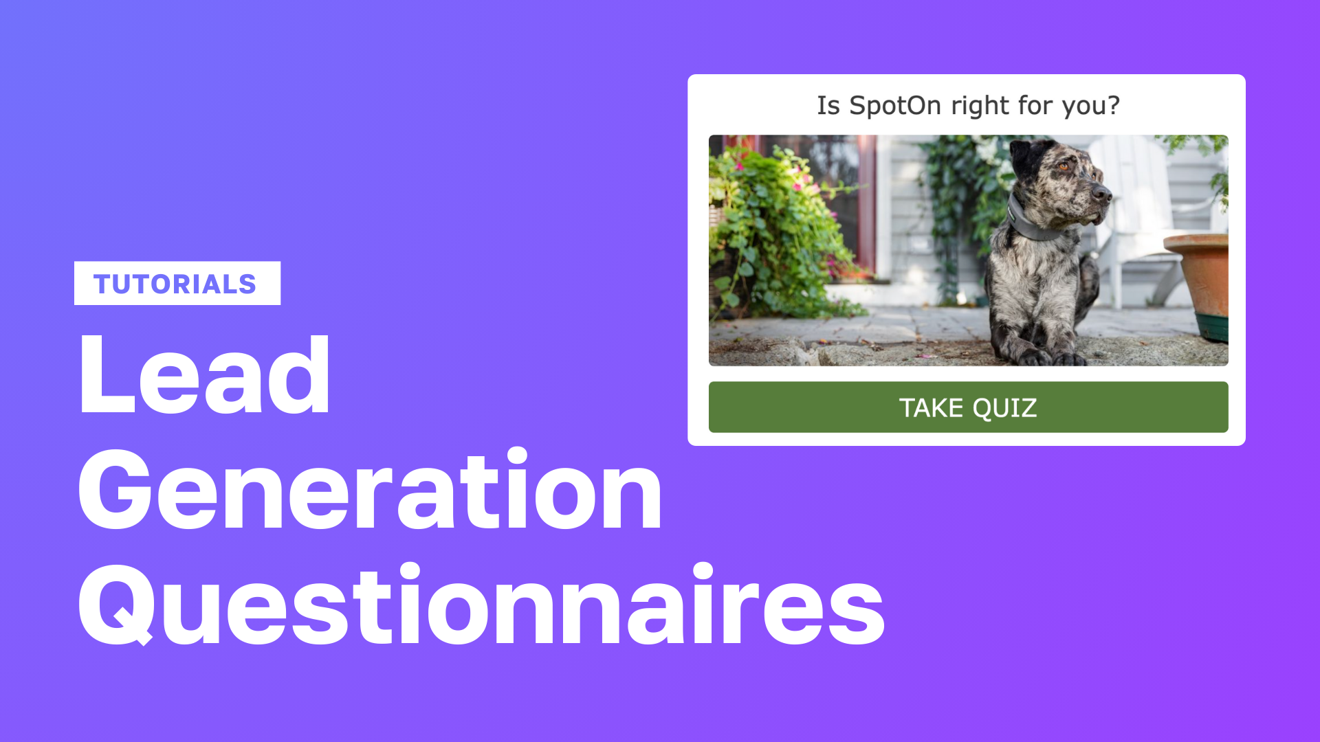 How to Make Lead Generation Questionnaires with Interact | Interact Blog